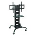 Mobile Flat Panel Stand | School Outfitters